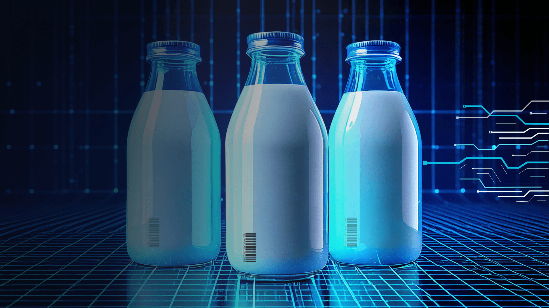 Libera Global AI | AI & Blockchain Solutions for Emerging Market Retail